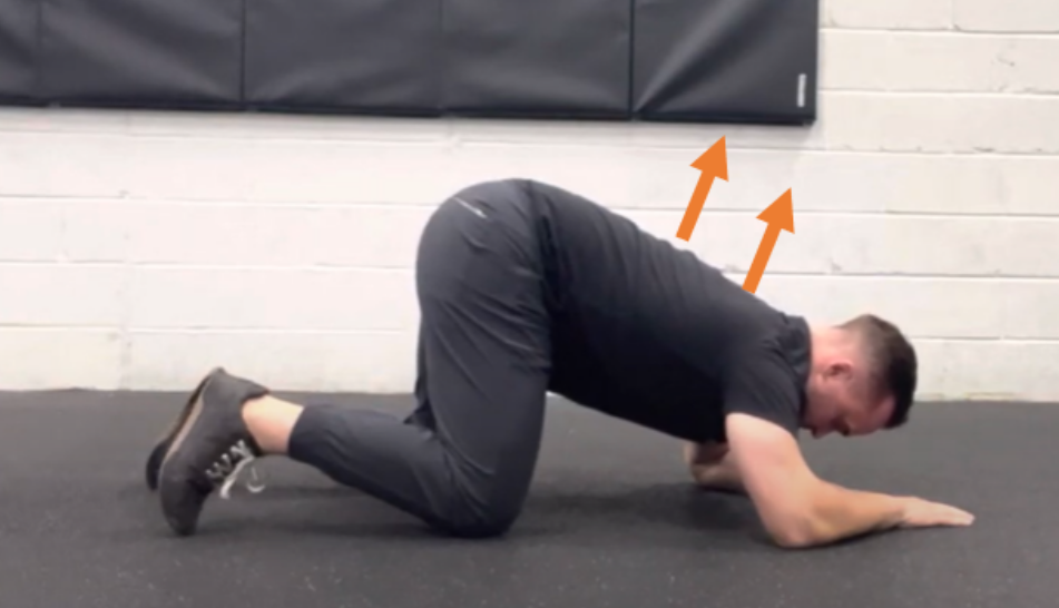 To Chin Tuck Or Not (Part 2/2): If Not, What Else? - Next Level ...